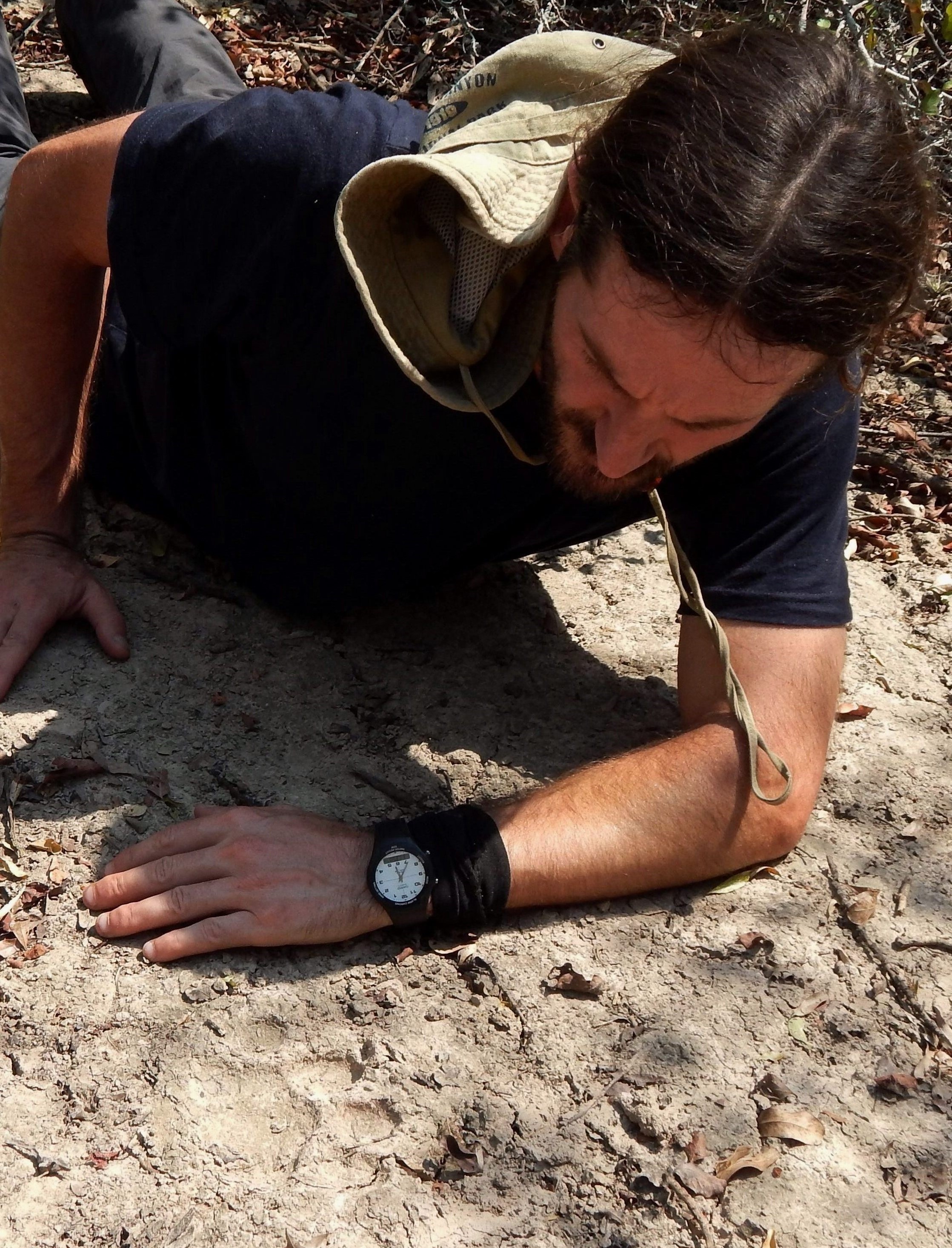 My Path in Big Cat Conservation: A Work in Progress Inspired by Alan ...